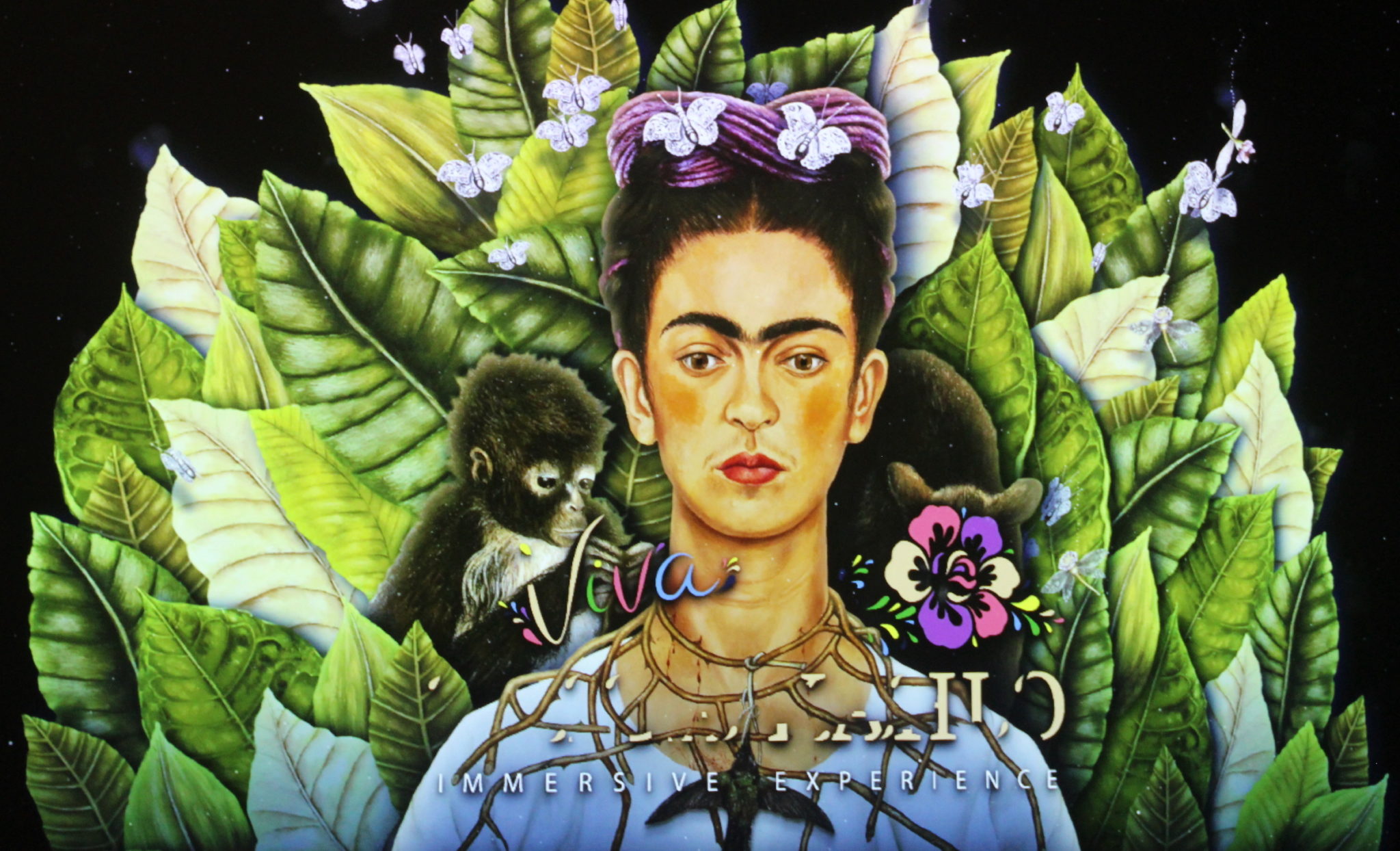 Viva Frida Kahlo à Lausanne Expérience immersive haute en couleurs | FYK'mag